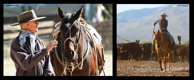 Welcome to the Californios Ranch Roping and Stock Horse Contest
